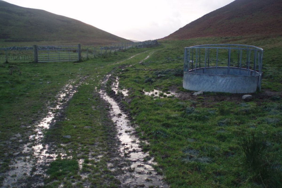 7 signs you should not drive down a remote road