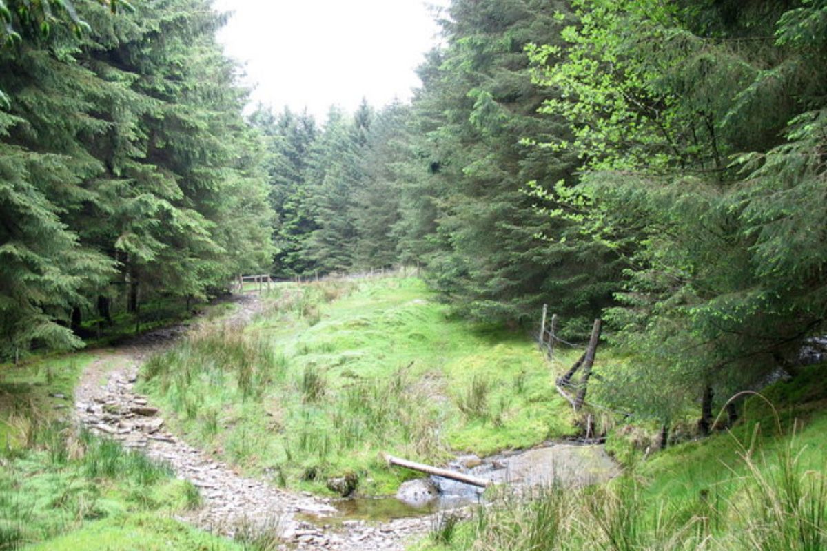 6 reasons flat trails still exhaust hikers