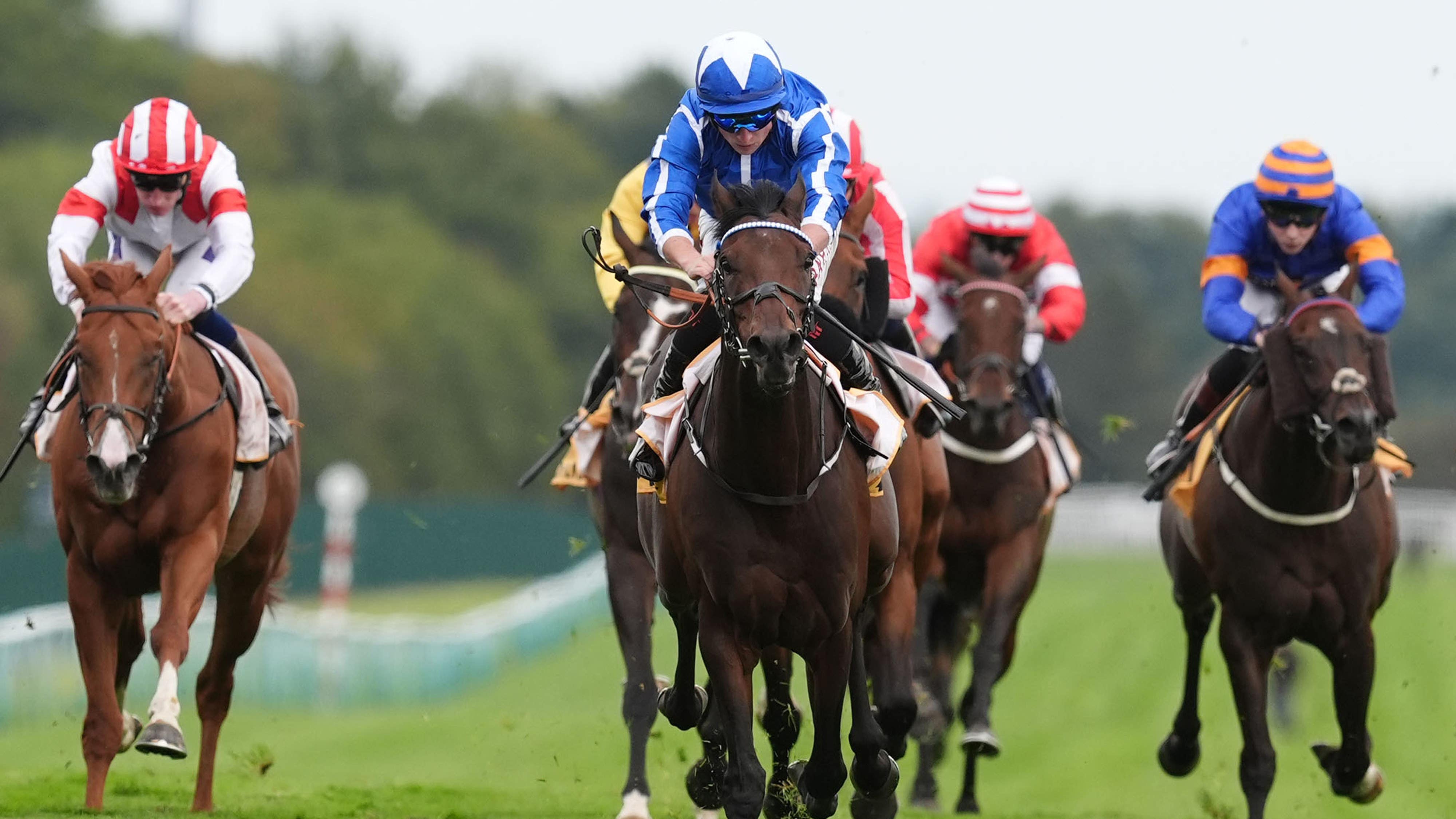 The Reverend could make hurdling bow this week