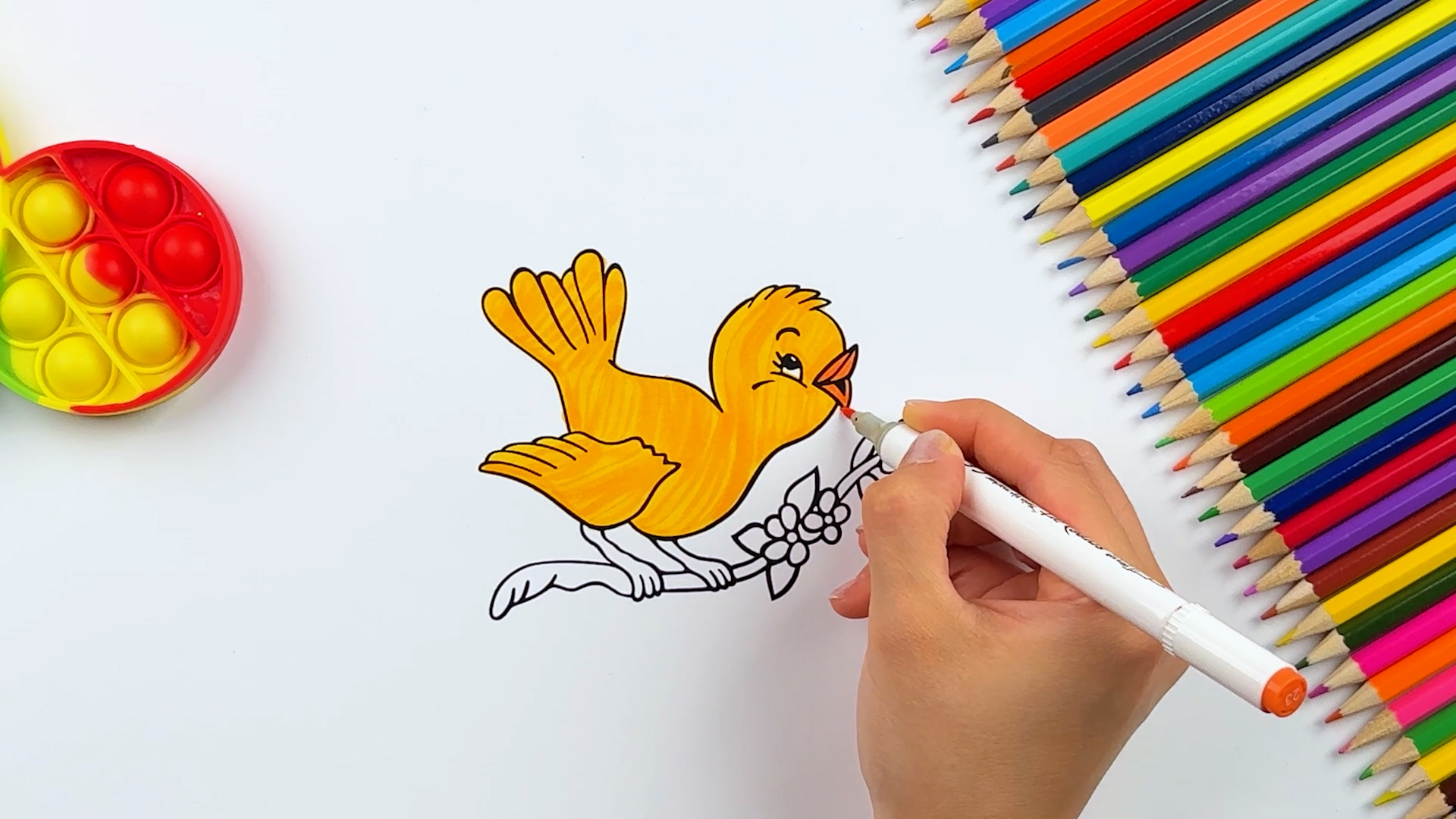 Coloring in a fun and creative drawing