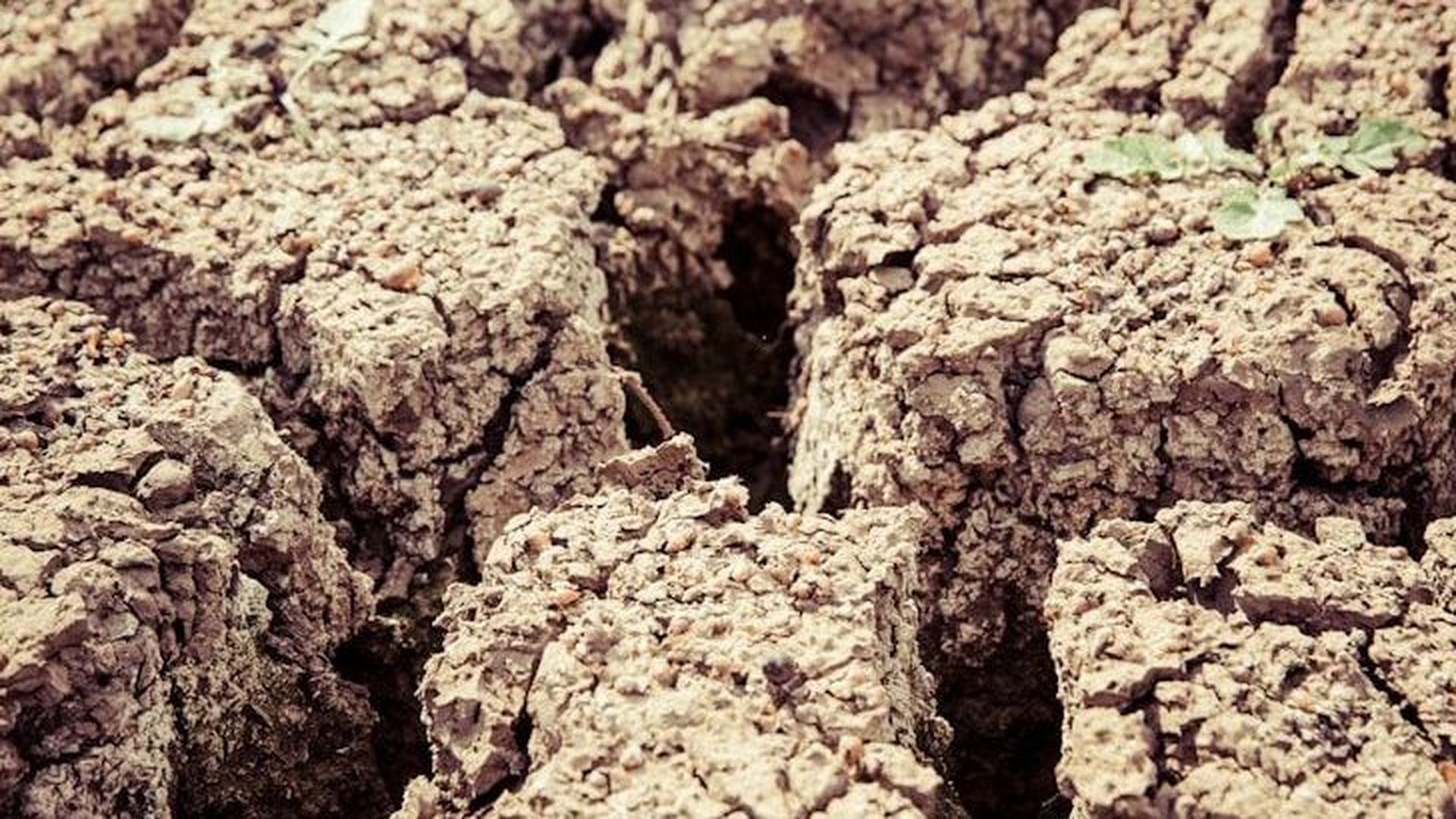 How agricultural practices contribute to soil degradation