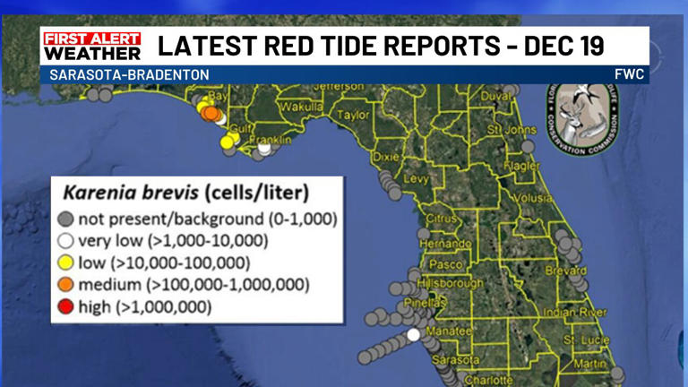 Beach & boating forecast Sunday