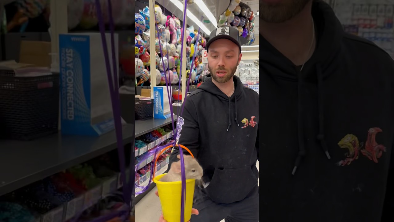 Fly little guy flyyyyy