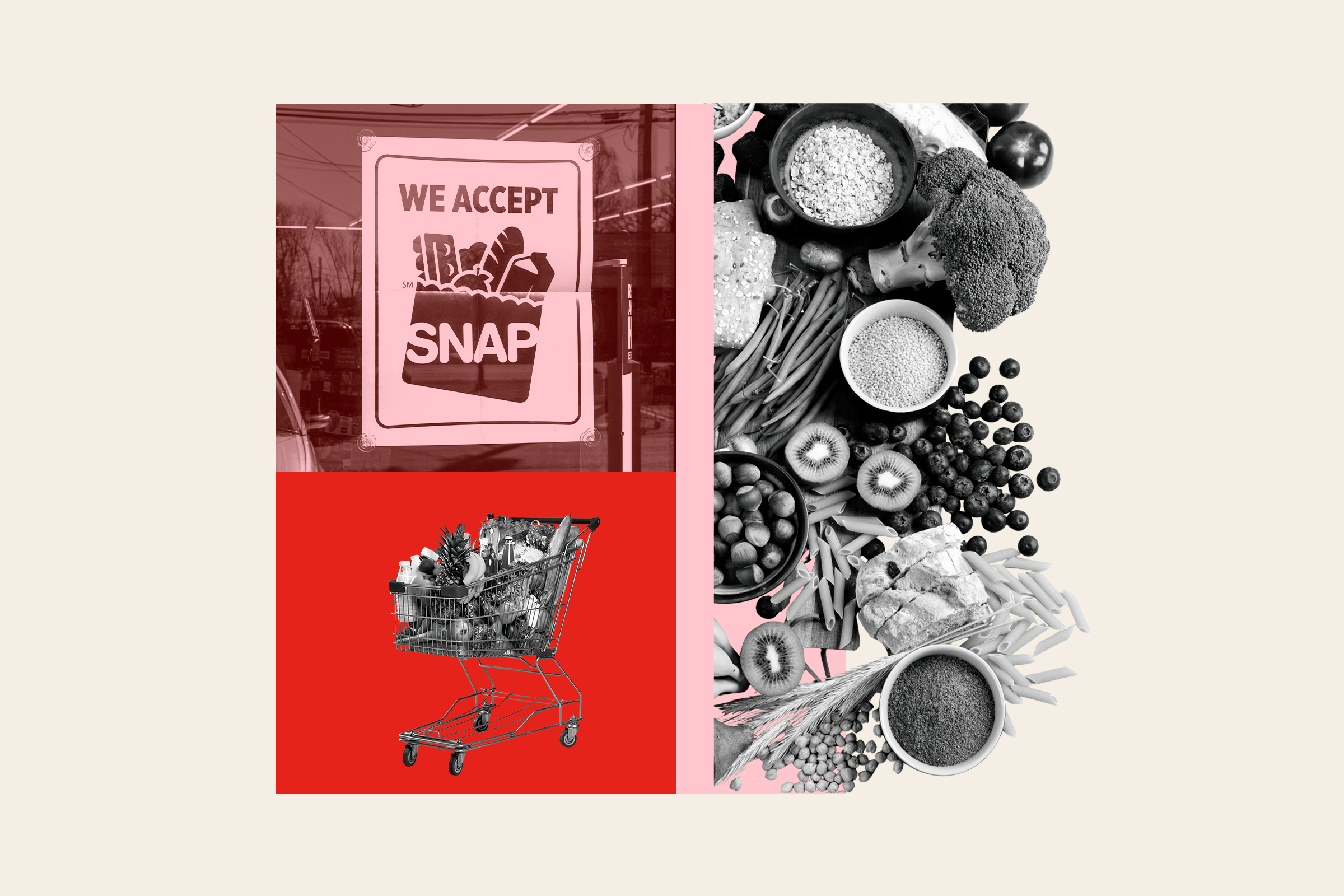 SNAP benefits: What to expect in 2026