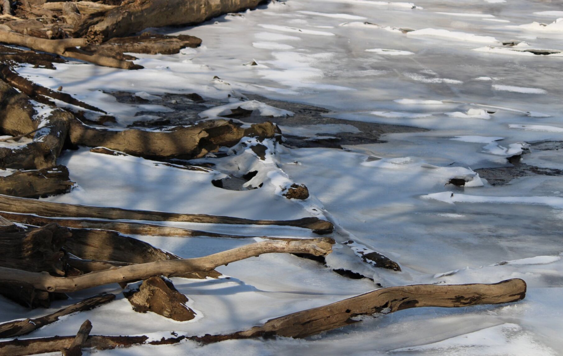 Study shows potential future vulnerabilities in DC area water supply