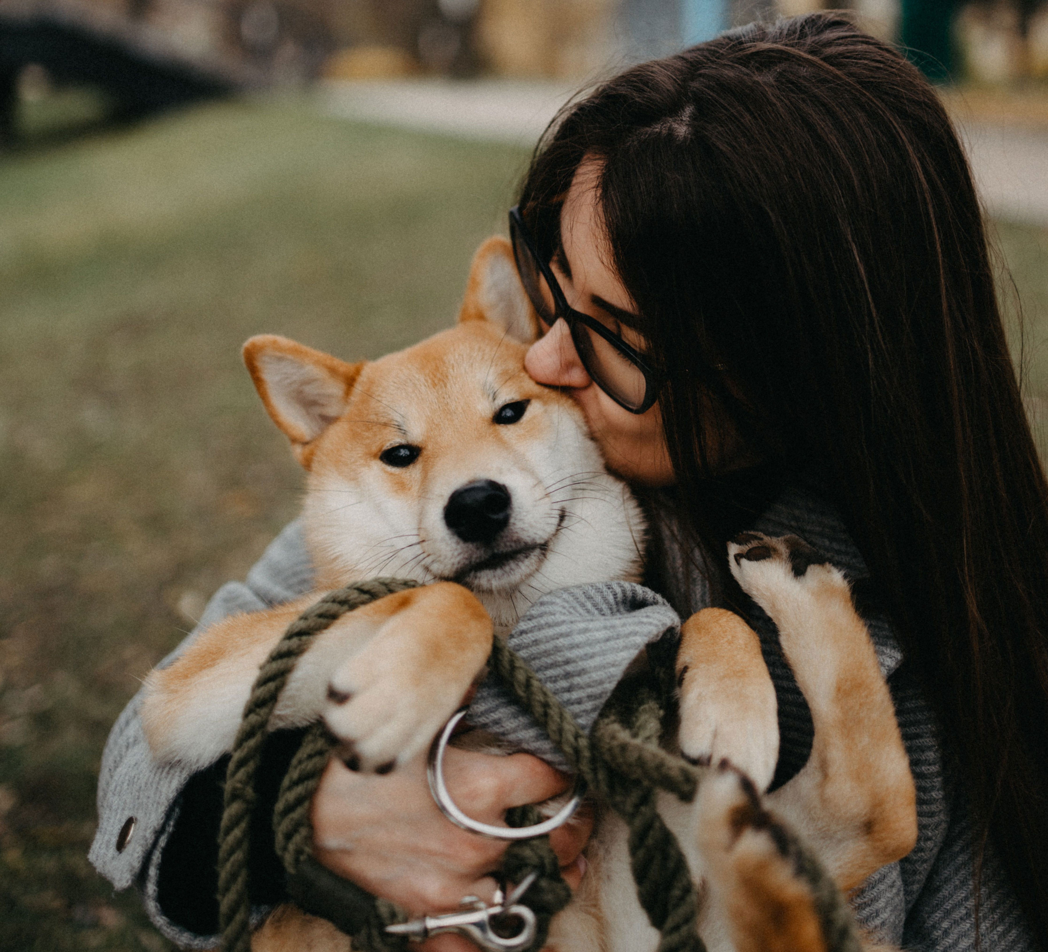 Everyday habits that annoy your dog