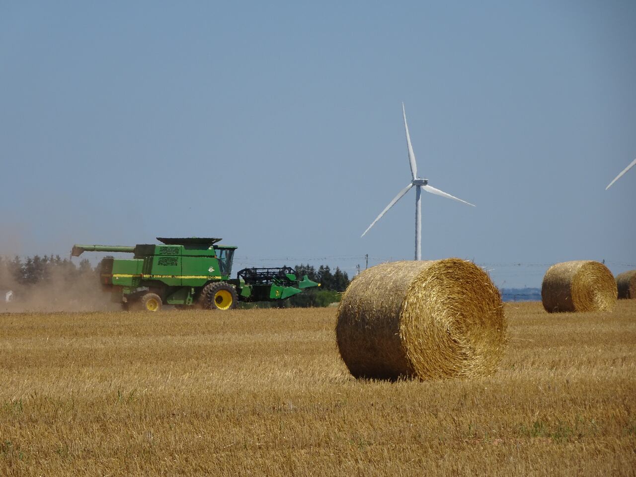 ‘Keeps me up at night’: NS horse owners, farmers face hay shortage due ...