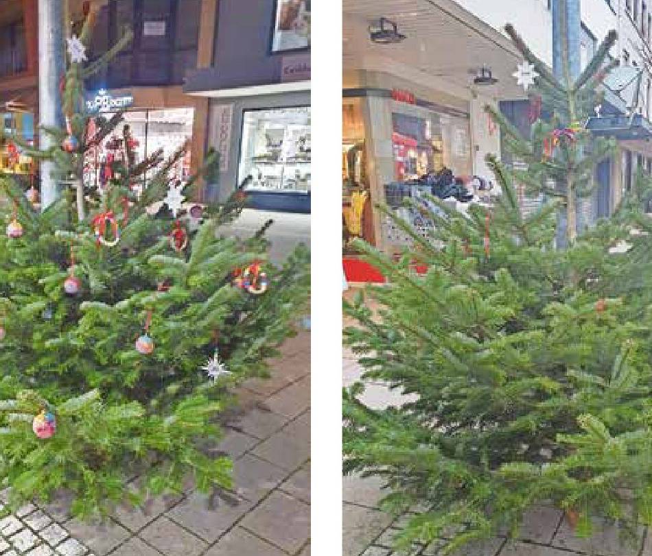 Vorweihnachtlicher Polit-Vandalismus in Zweibrücken