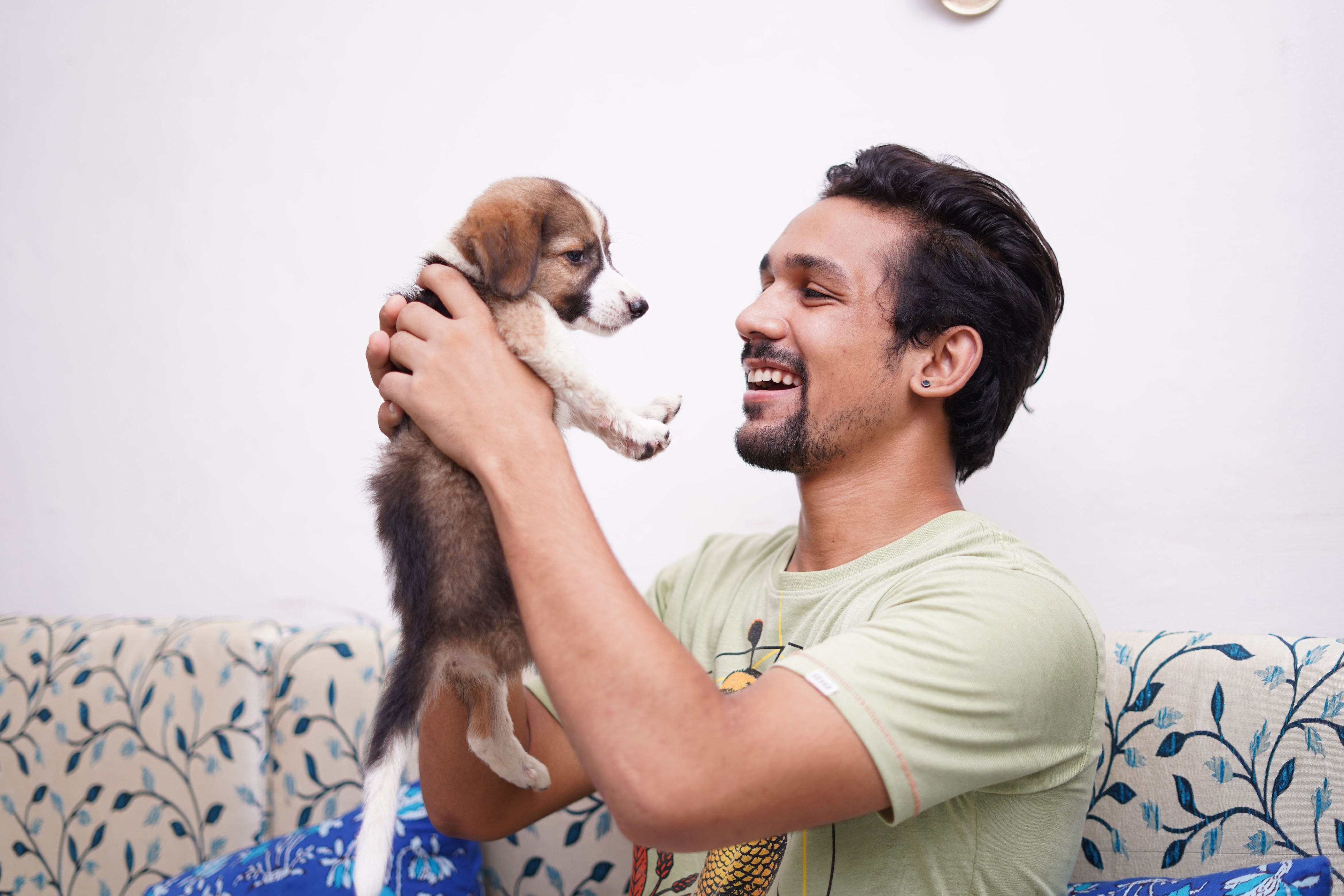 Everyday habits that annoy your dog