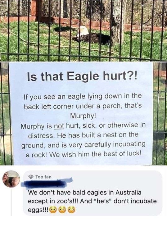 40+ times people were confidently incorrect
