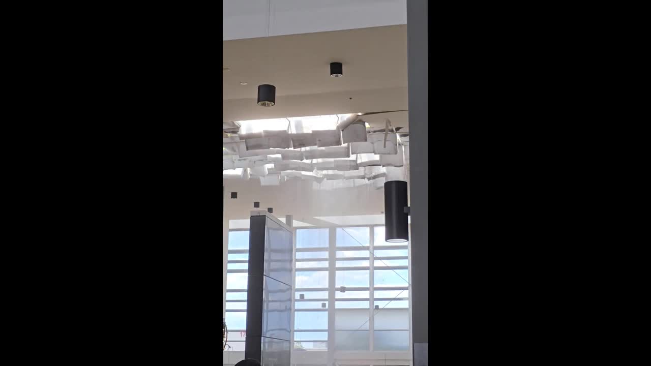 Shoppers flee as roof collapses at Sydney shopping centre