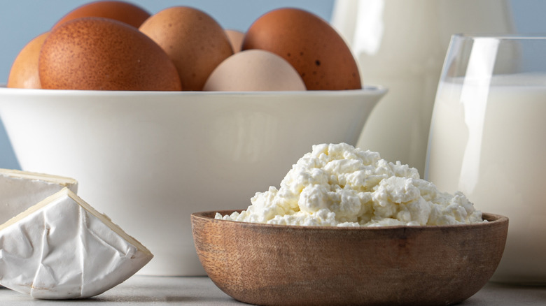 Hard-boiled eggs vs cottage cheese: Which one packs more protein?
