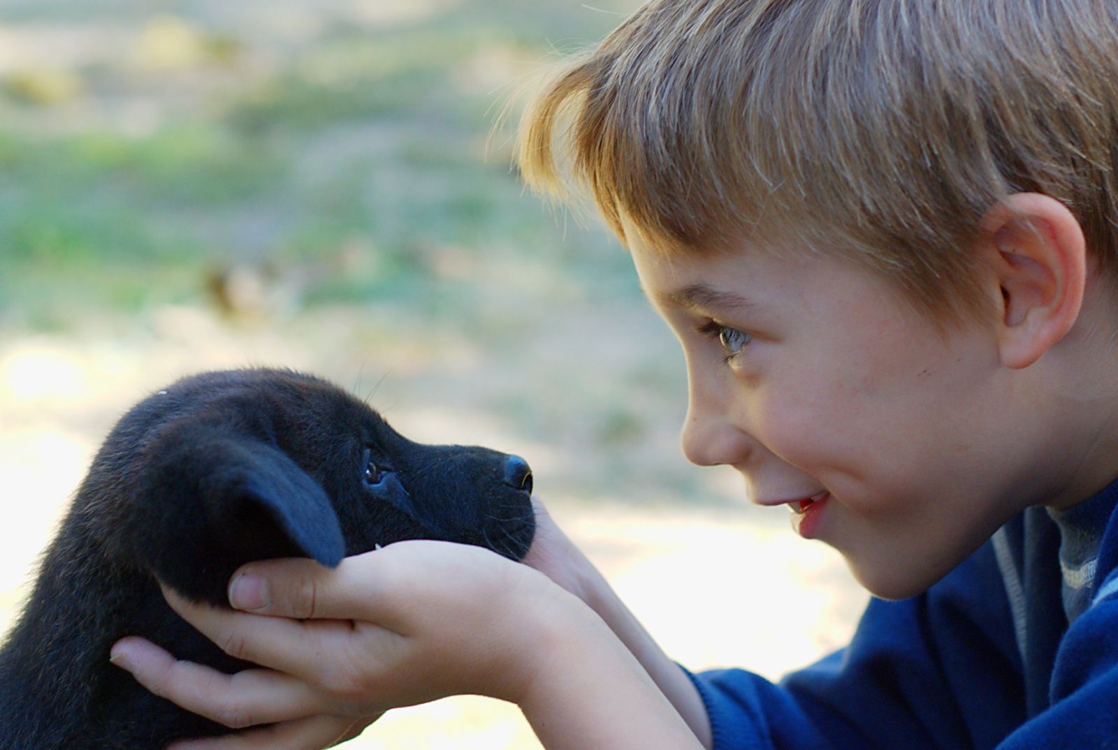 Everyday habits that annoy your dog