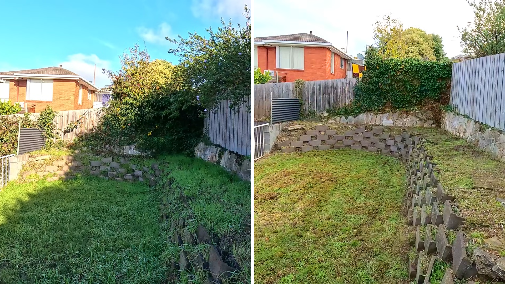 Extreme garden transformation: Cutting through the jungle