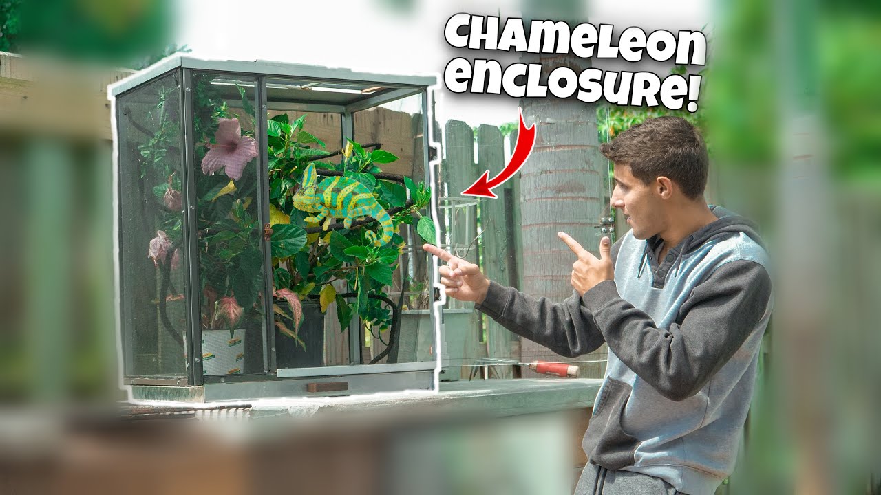 REMODELING My CHAMELEONS Enclosure!!