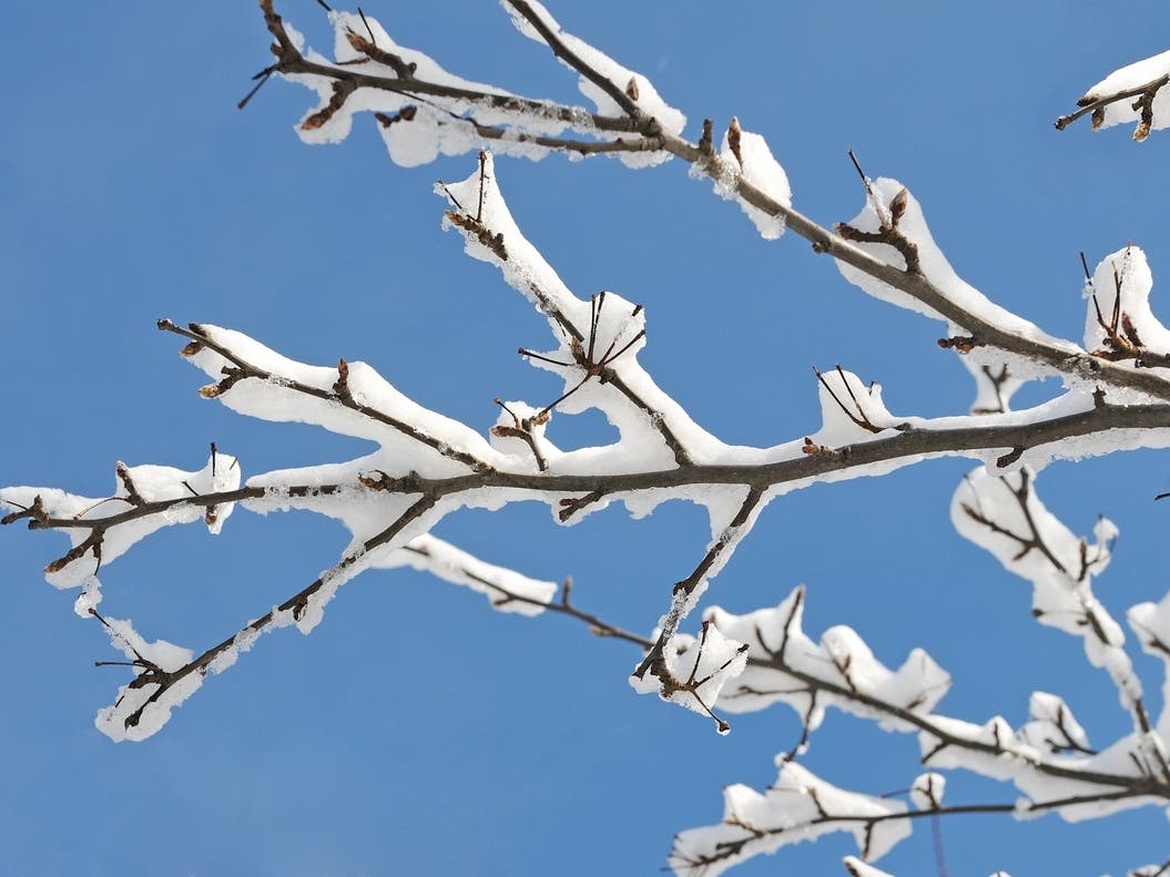 January nature programs in Liberty State Park