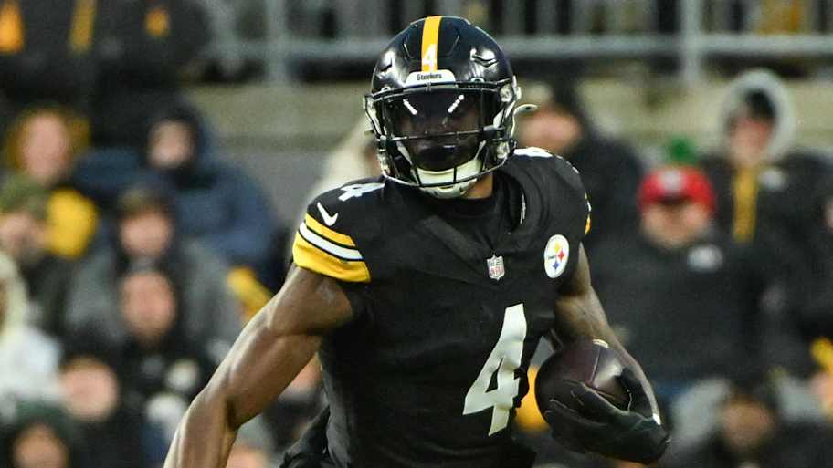 Steelers' DK Metcalf punches Lions fan during game