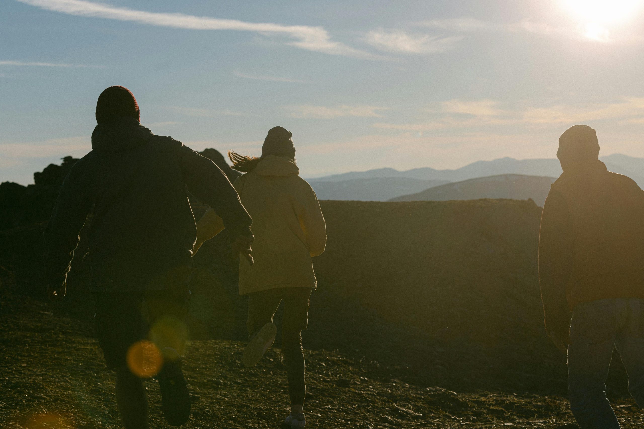 Why moving too fast is a major cause of survival failure: Energy and ...