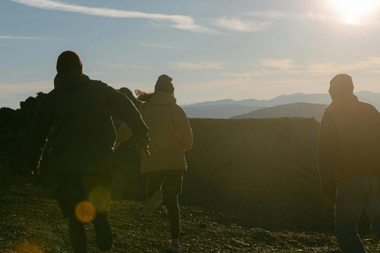 Why moving too fast is a major cause of survival failure: Energy and ...