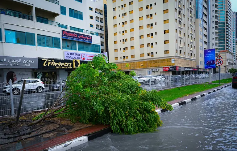 Sharjah responds to over 500 calls during rains; reports promptly addressed