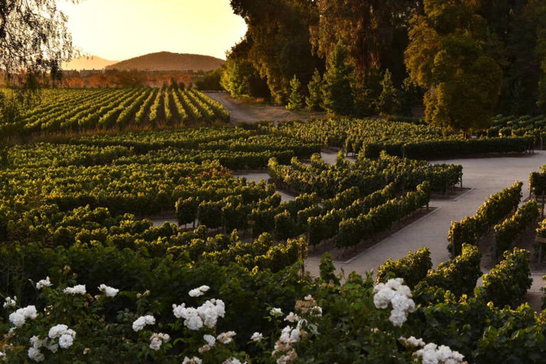 Concha y Toro inaugura centro de enoturismo na região de Santiago