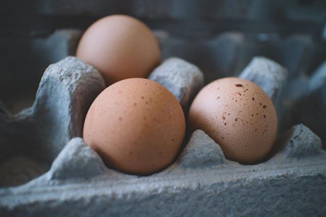Recall alert: Salmonella outbreak linked to eggs leaves 63 ill and 13 ...