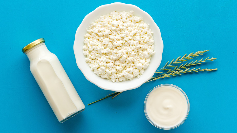 How to choose the best cottage cheese at the grocery store