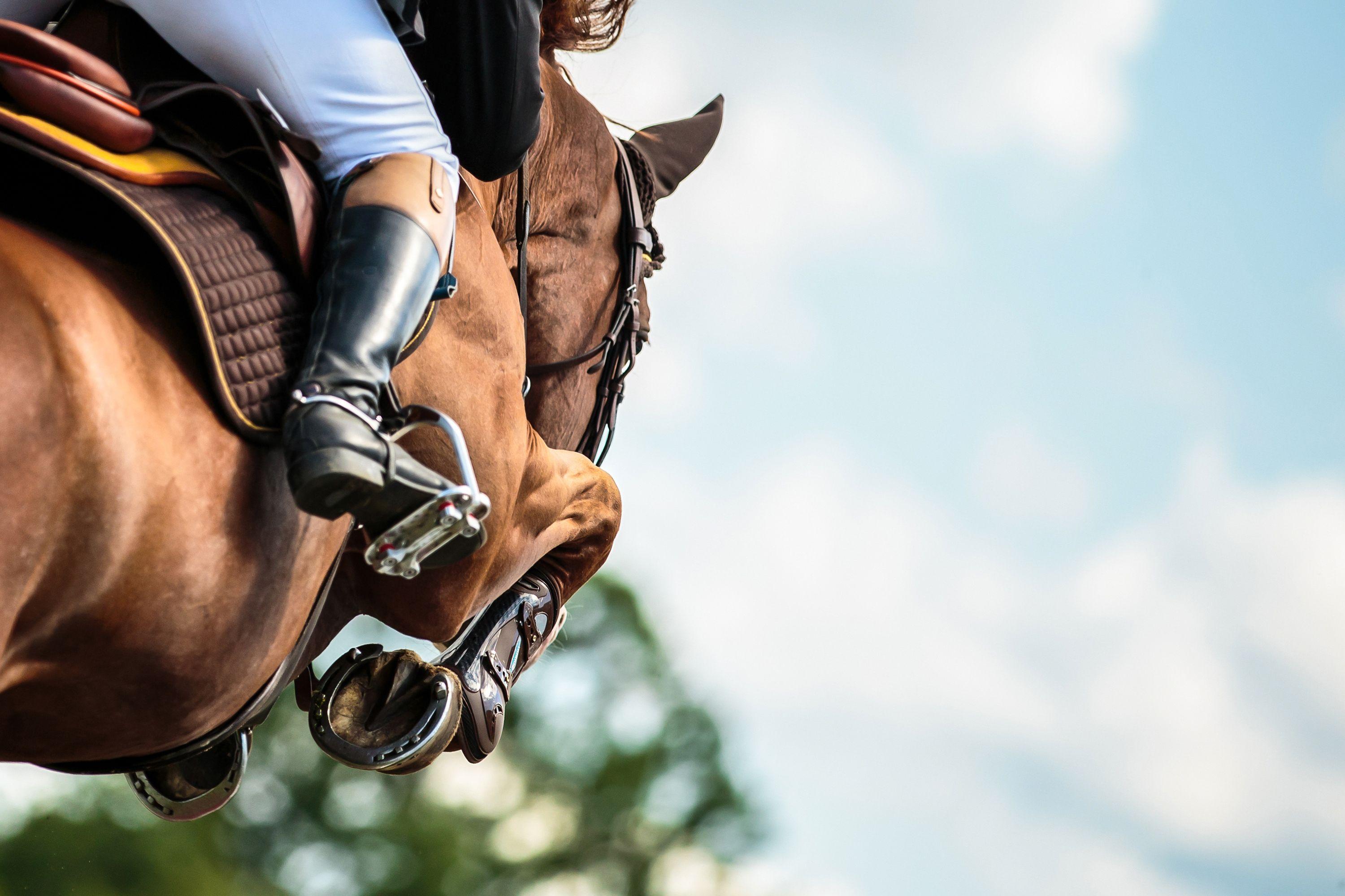 Bambina di 11 anni cade da cavallo: trauma facciale, portata al Meyer ...
