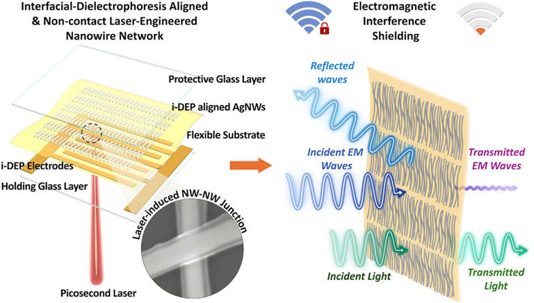 Ultra-thin nanowire films block over 99% of wireless signals without metal
