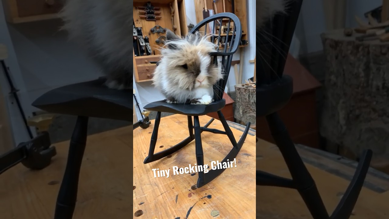I built a tiny rocking chair for my bunny 🐰