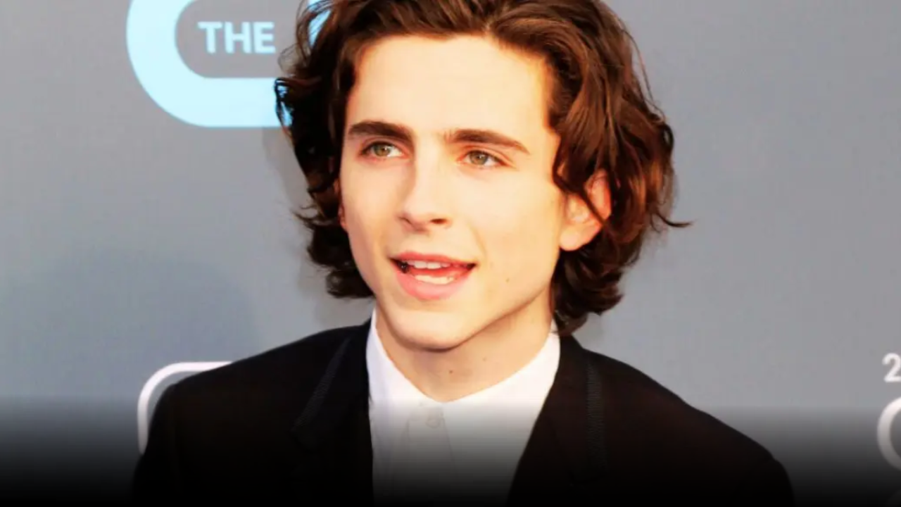 Timothée Chalamet finally puts rapper alter-ego rumors to rest in the ...