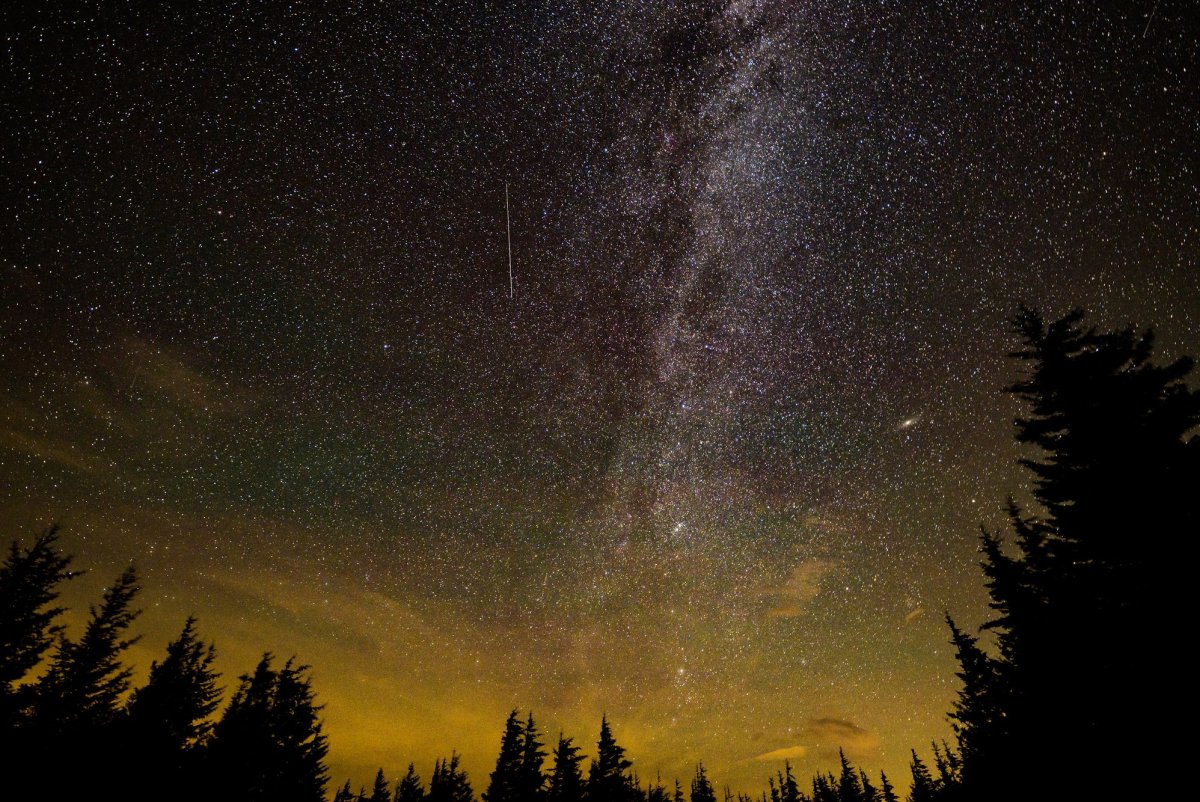 Ursid meteor shower to dazzle night sky in 2025's final celestial event