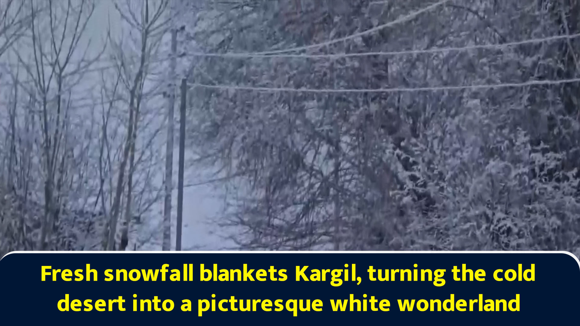 Fresh snowfall blankets Kargil, turning the cold desert into a ...