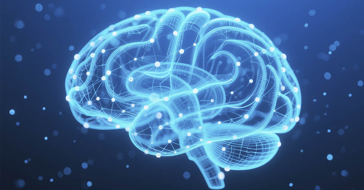 High Fat Diest May Be The Key To Keeping The Brain Healthy