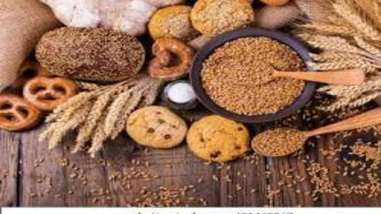 Beyond the flour: The 5 best high-protein breads for muscle recovery ...