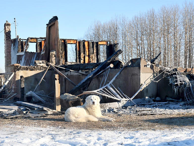 Tsuut'ina Nation rallies behind community member who lost home in fire