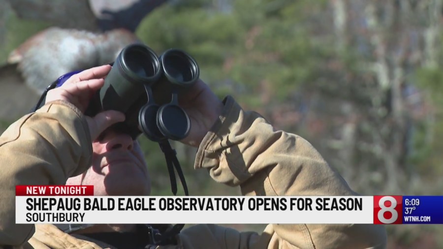 Shepaug Bald Eagle Observatory opens for 40th season in Southbury