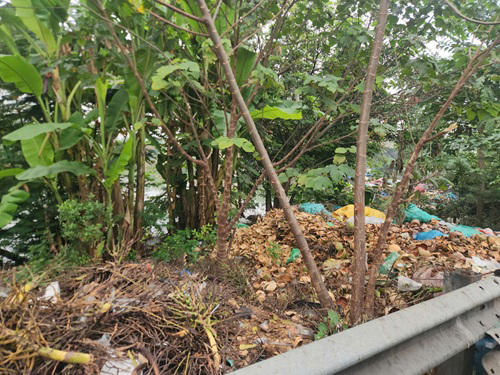 Bãi vỏ dừa dưới chân cầu Thăng Long tiềm ẩn nguy cơ tai nạn và cháy