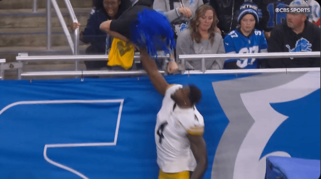 Steelers receiver DK Metcalf swings at Lions fan during game