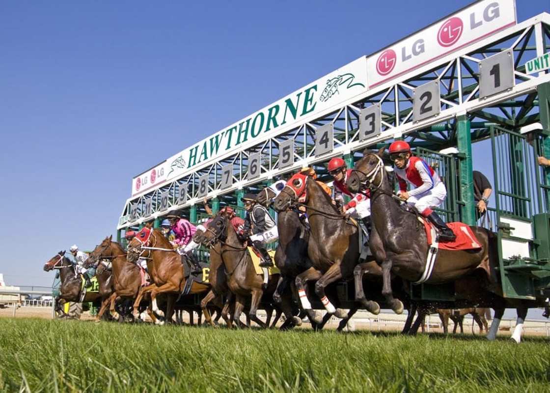 Illinois harness horsemen report returned payments from Hawthorne Race ...