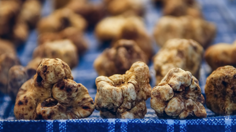 8 types of truffles, explained