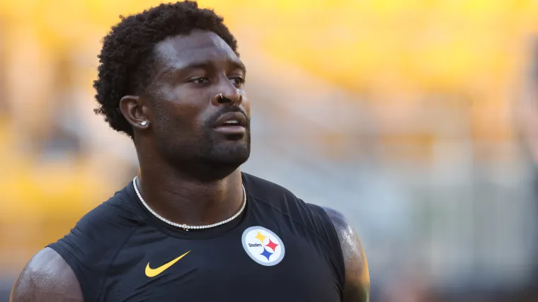 DK Metcalf punches fan: Steelers WR gets into physical altercation with ...