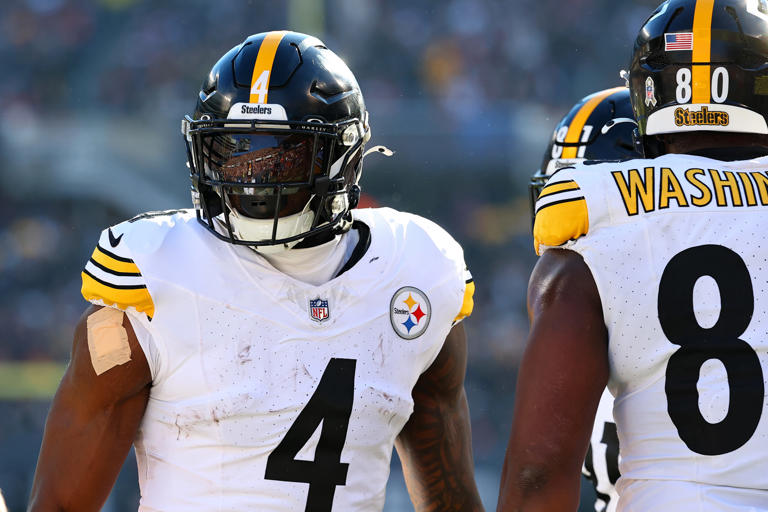 Steelers’ DK Metcalf appears to throw punch at Lions fan