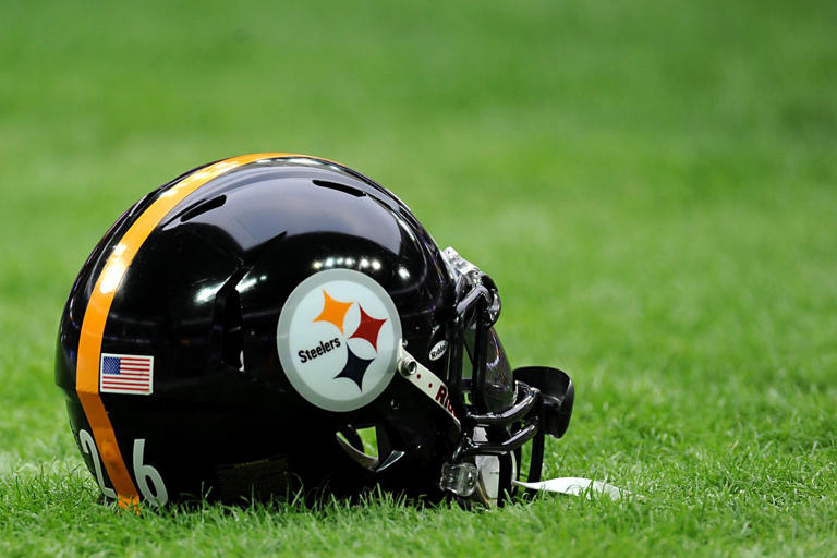 Pittsburgh Steelers wide receiver DK Metcalf appears to throw punch at fan