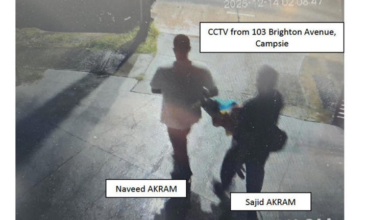 Bombs thrown at crowd before shooting: cops