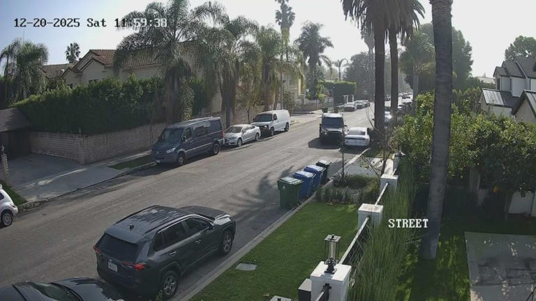 Mother crashes into fleeing burglars after they attempted to break into ...