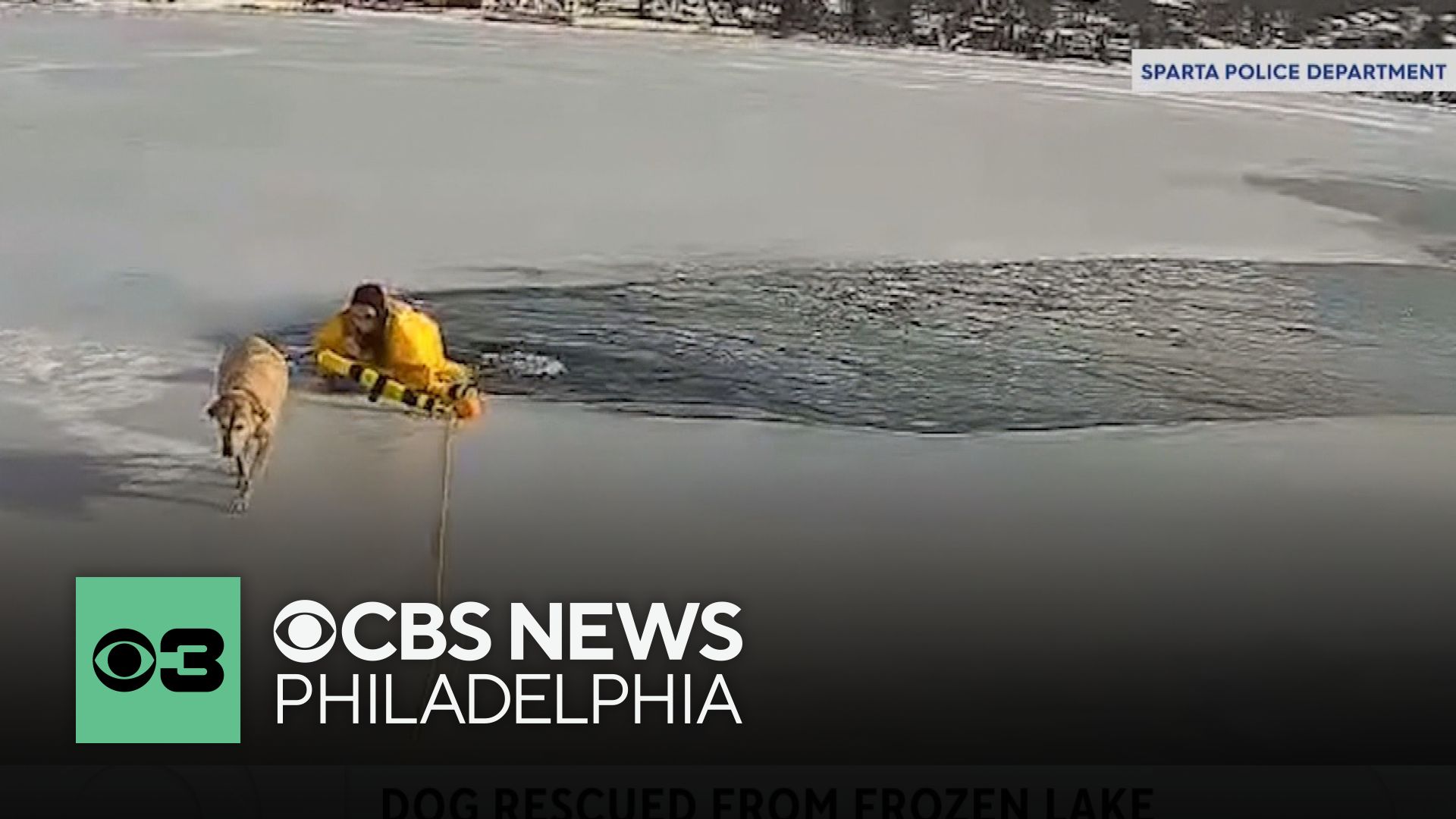 Video shows New Jersey police officer rescuing dog from icy water