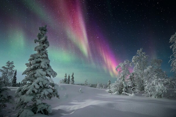 Solar maximum brings brighter auroras — why Yellowknife is the world’s ...
