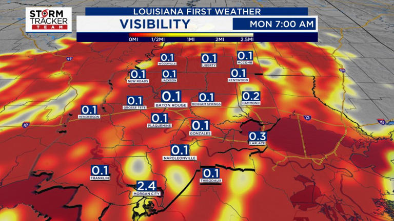Baton Rouge weather: Dense fog and showers likely overnight