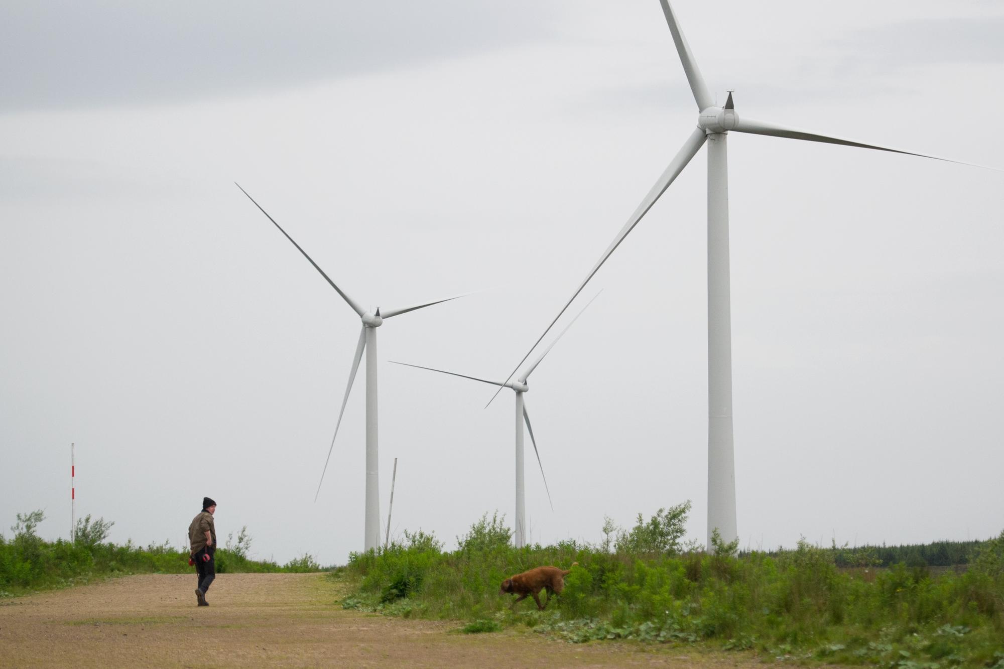 The 'deeply concerning' Scottish wind farm plans that threaten UK ...